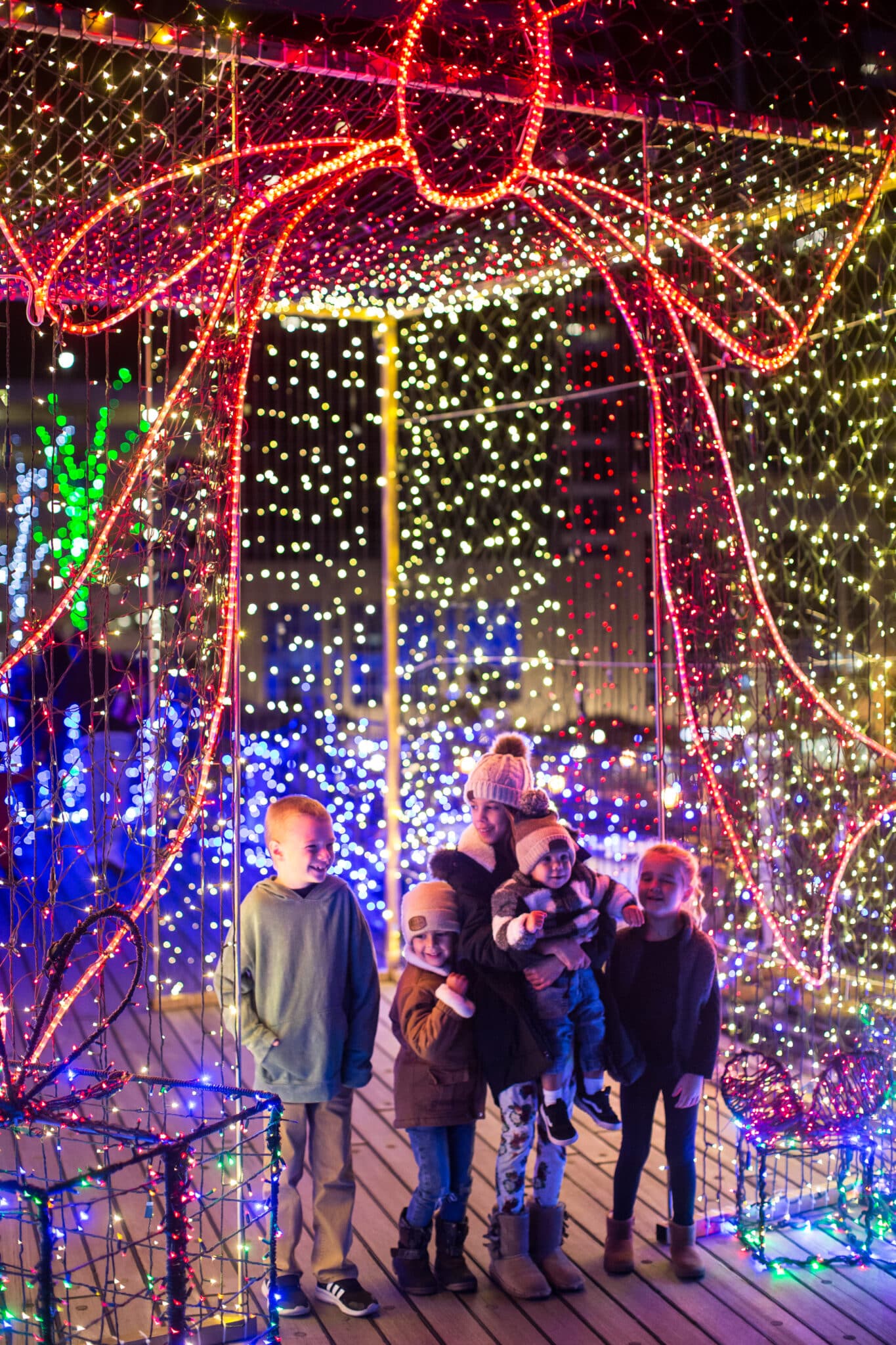 Experiences - Winterfest On The Wisconsin